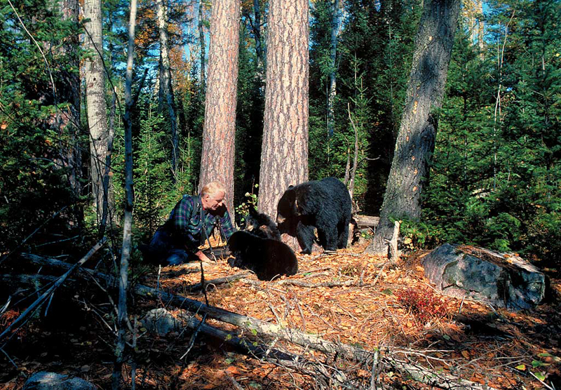 Hidden World of Black Bears old - Bear Necessities - NABCBear ...