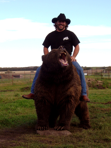Training Bears - Bear Necessities - NABCBear Necessities – NABC
