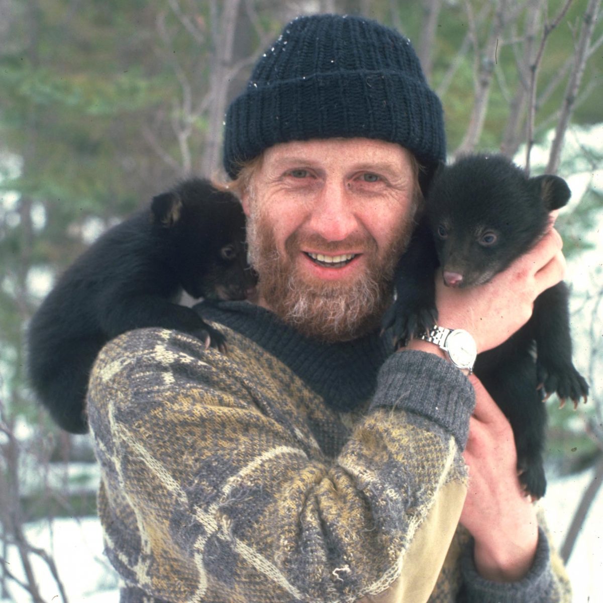 Myth: Mothers Reject Cubs That Have Human Scent - Bear Necessities ...