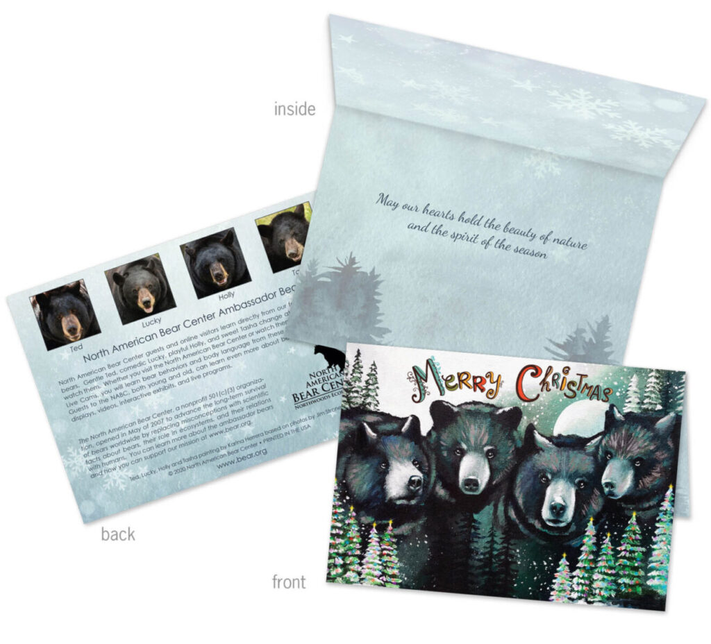 4 Bear Holiday Cards - Bear Necessities - NABCBear Necessities – NABC